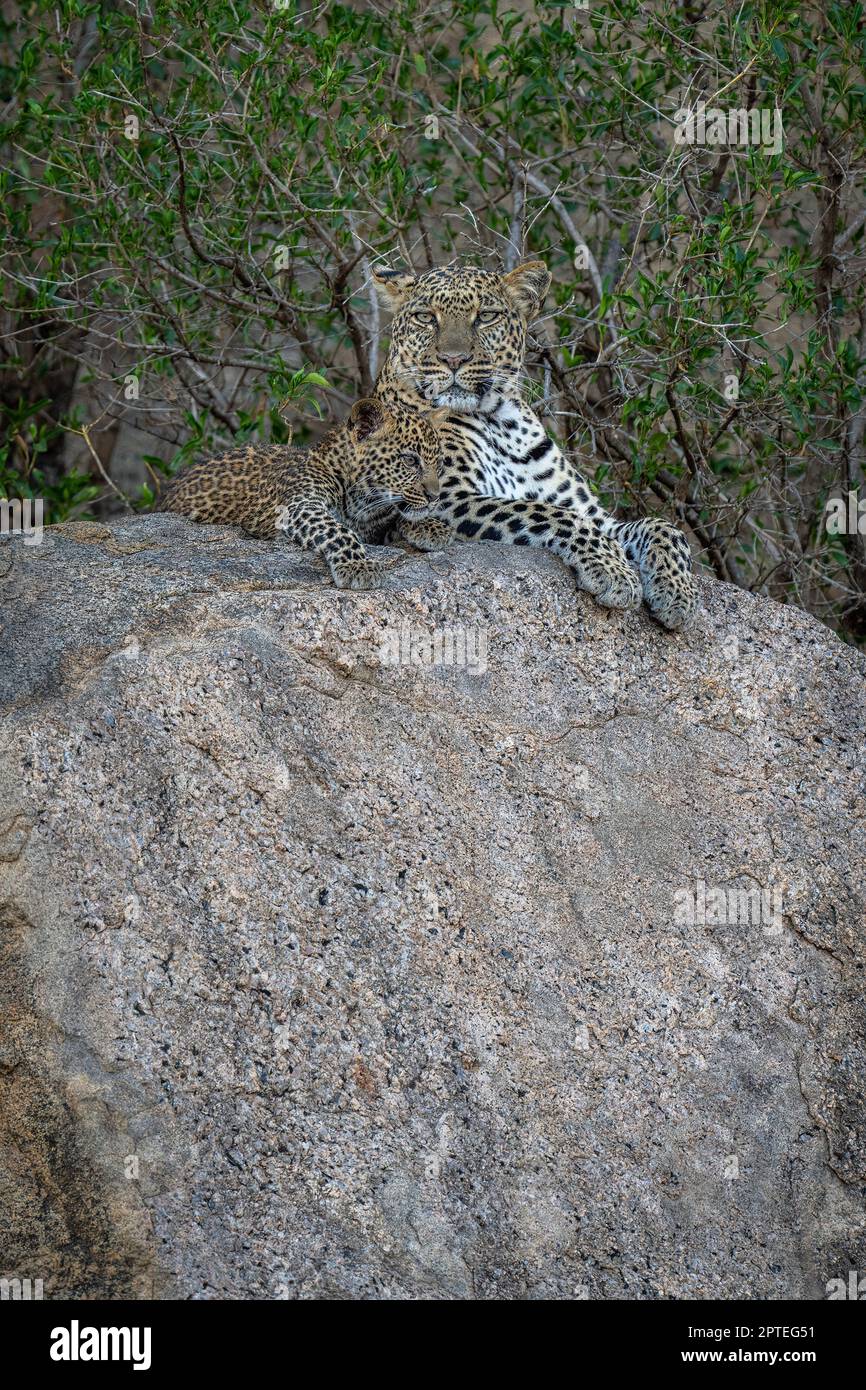 Boulder beside hi-res stock photography and images - Alamy