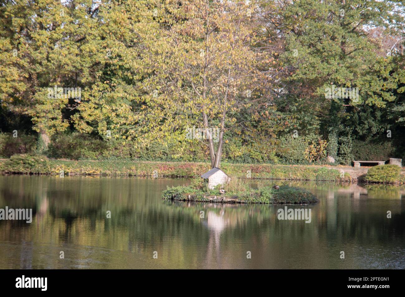 Castle pond Bedburg with trees and reflexions Stock Photo - Alamy