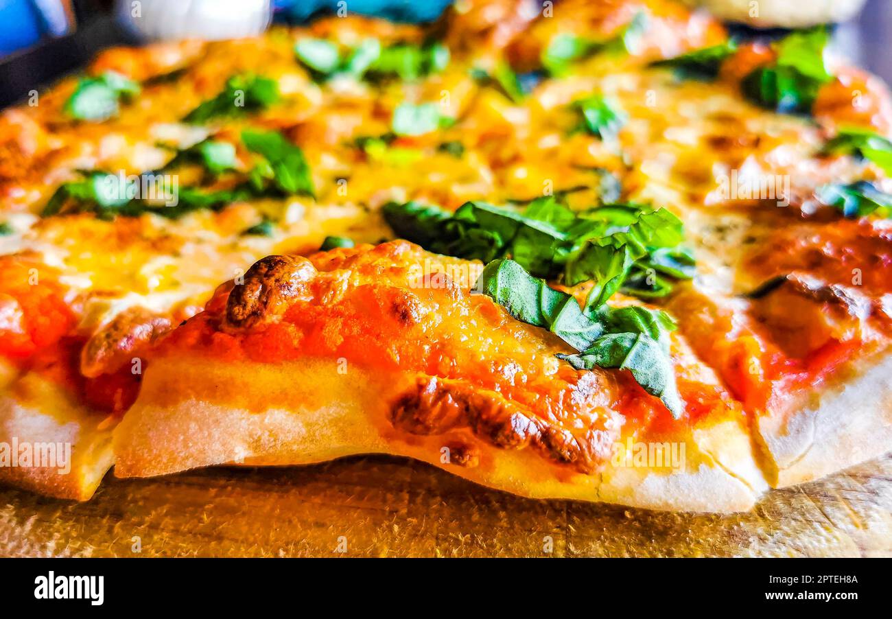 Italian garlic pizza with basil herbs and tomato sauce in Zicatela ...