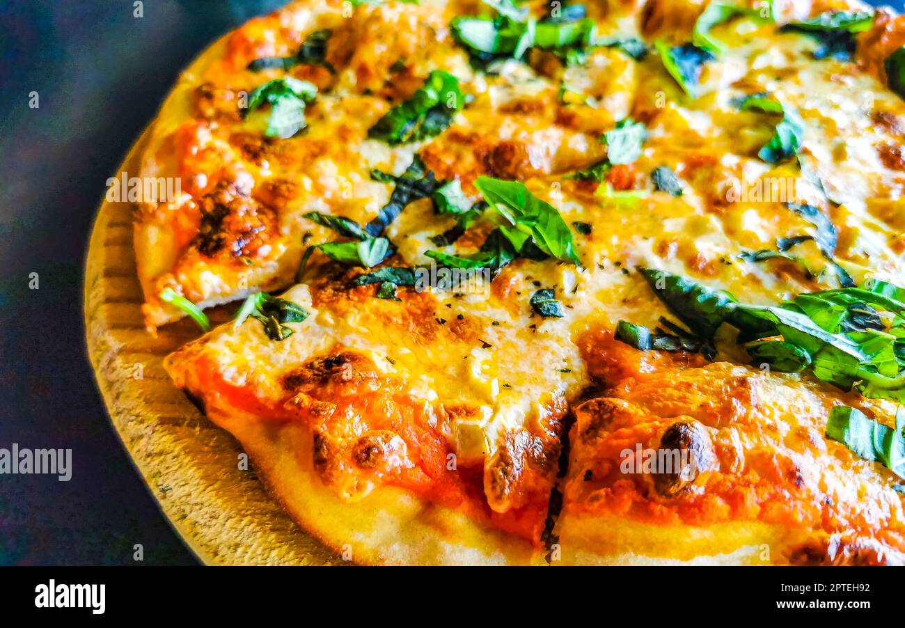 Italian garlic pizza with basil herbs and tomato sauce in Zicatela ...