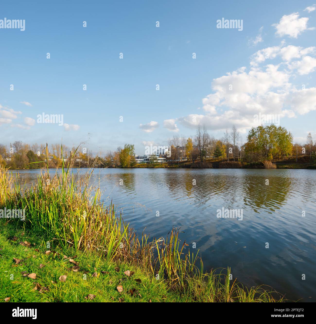 Katowice forest park hi-res stock photography and images - Alamy