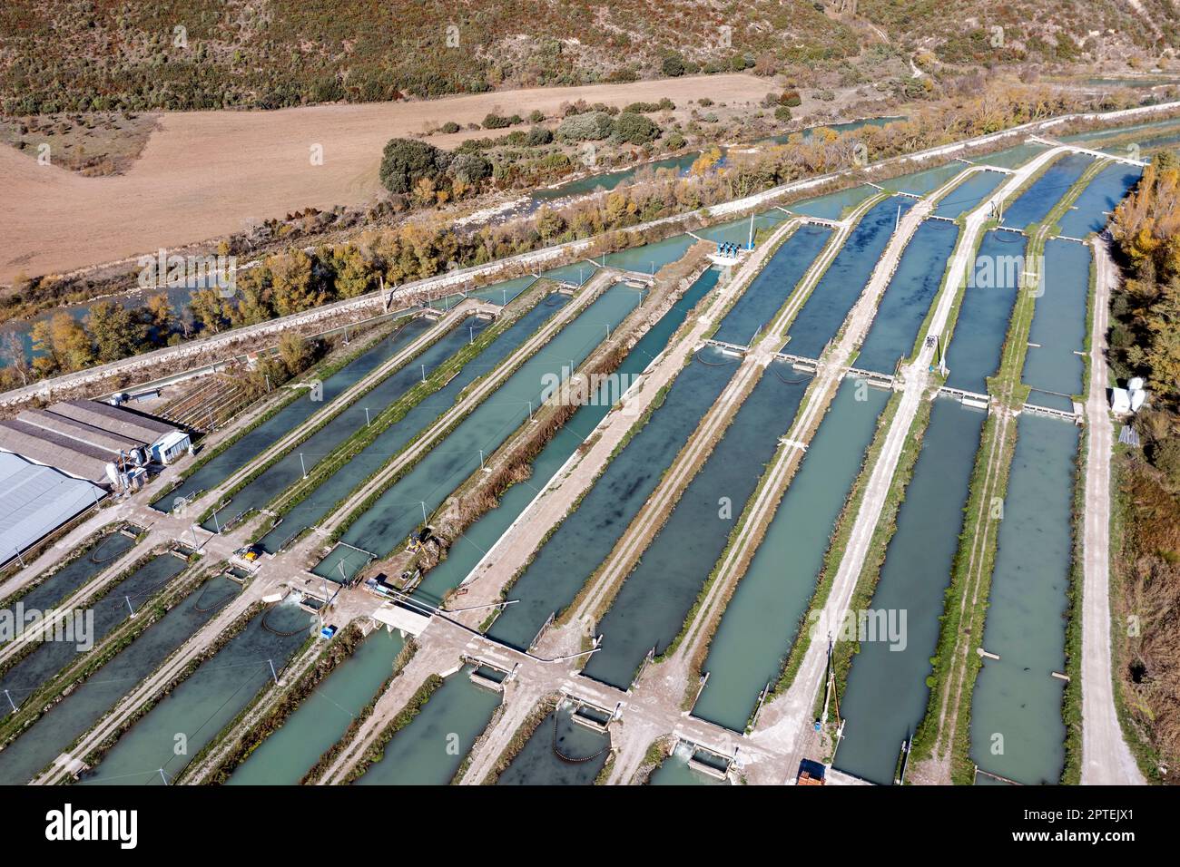 fish farm in the crystal clear, cold and contaminant-free waters of the ...
