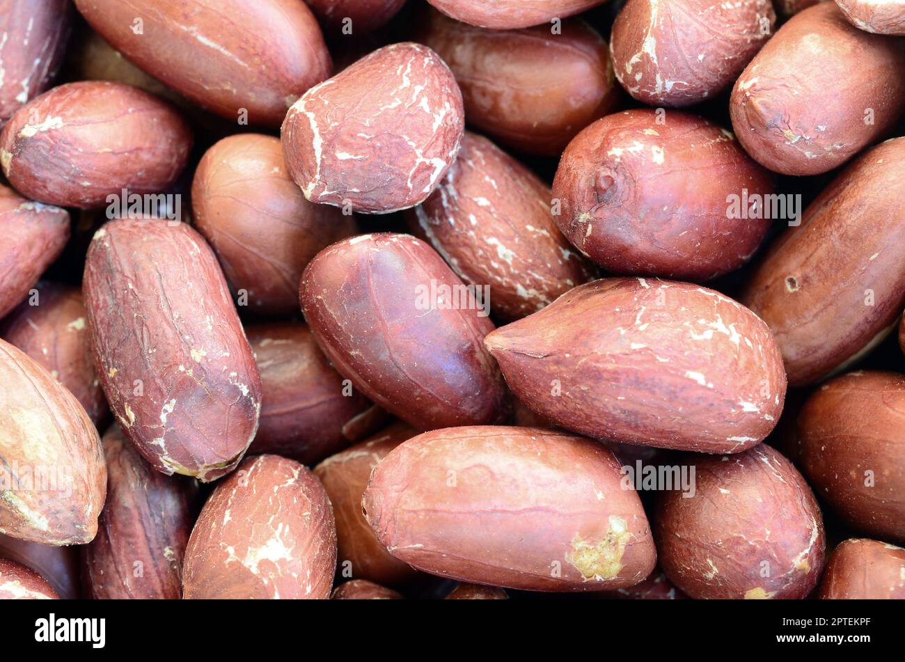 Peanut. A lot of small yellow nuts with brown peel. Background texture ...