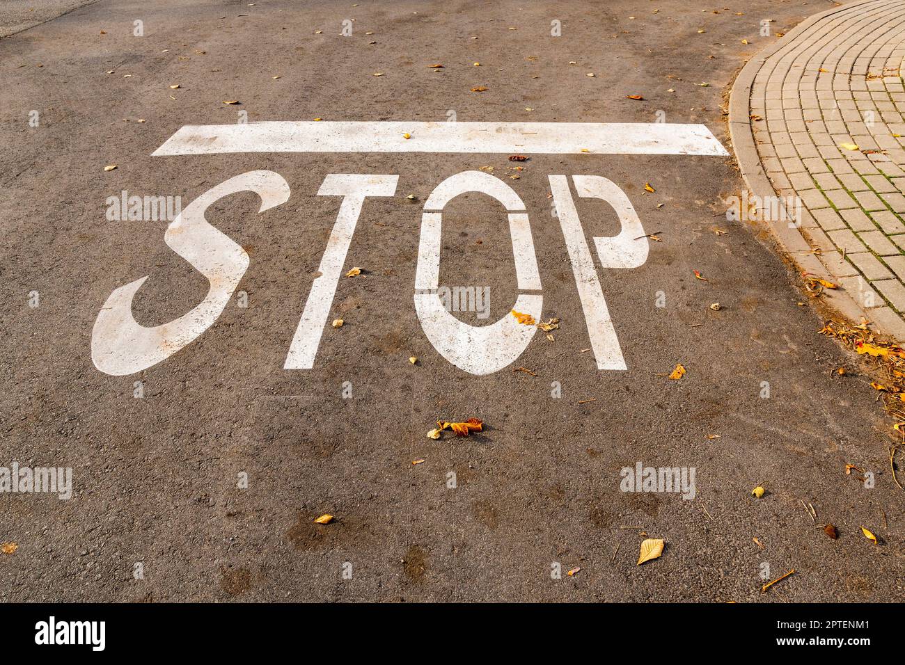 STOP sign and stop line are marked on the asphalt of the roadway Stock ...