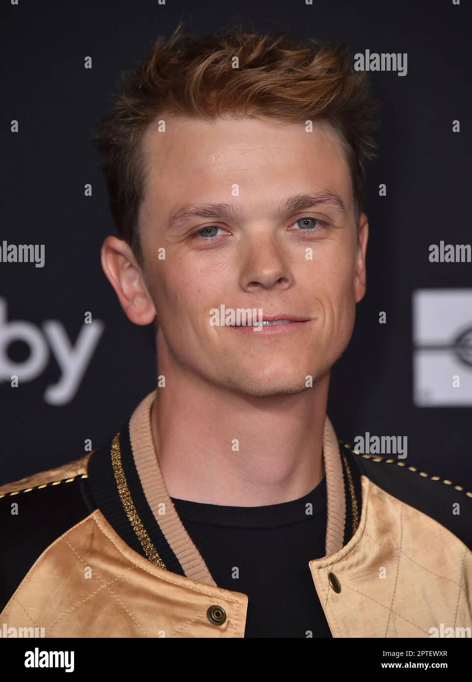 Matthew Edward Lowe arrives at the world premiere of "Guardians of the ...