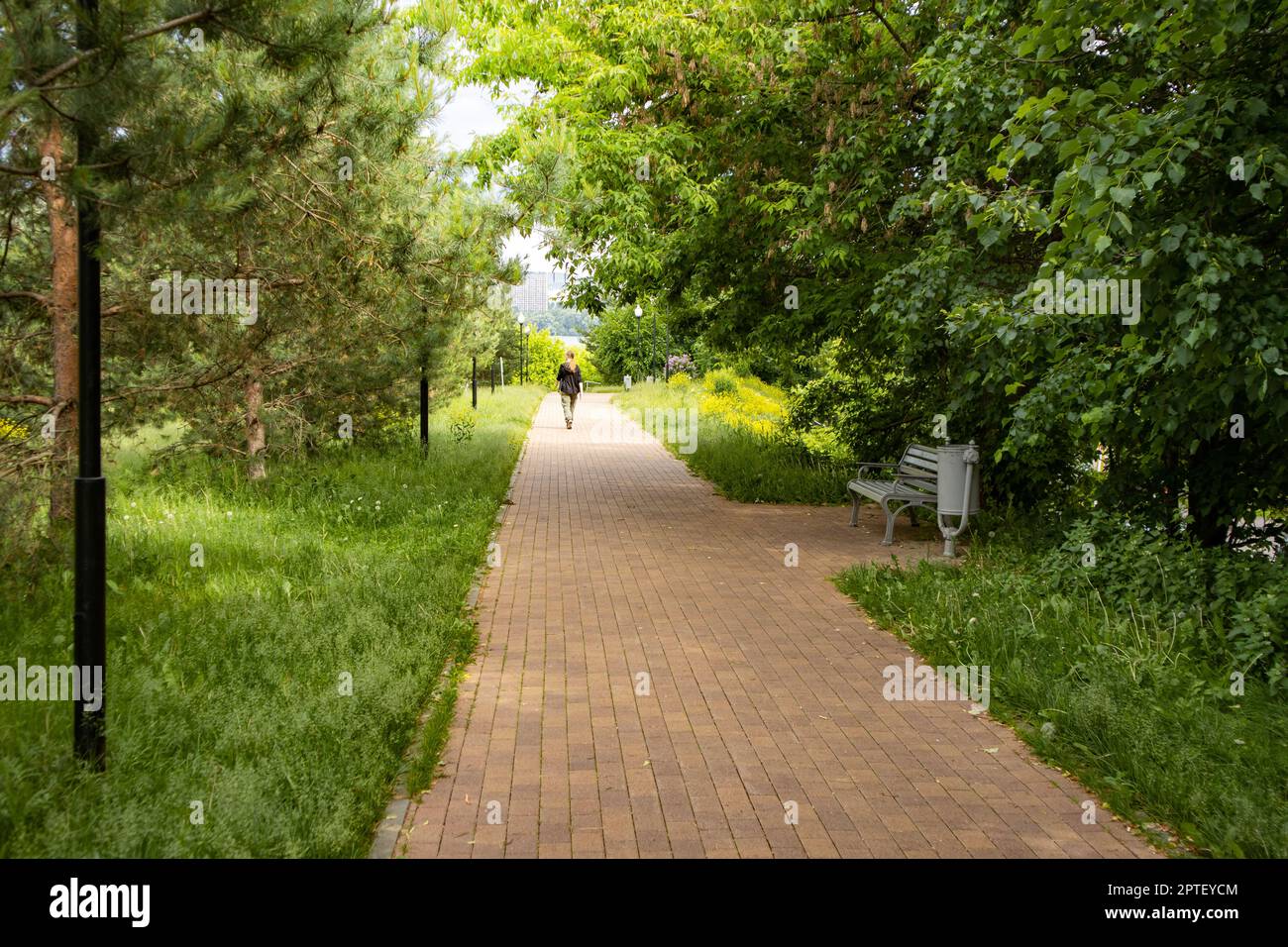 A path for walking in a city park with sunlight and shadows. Silhouette ...