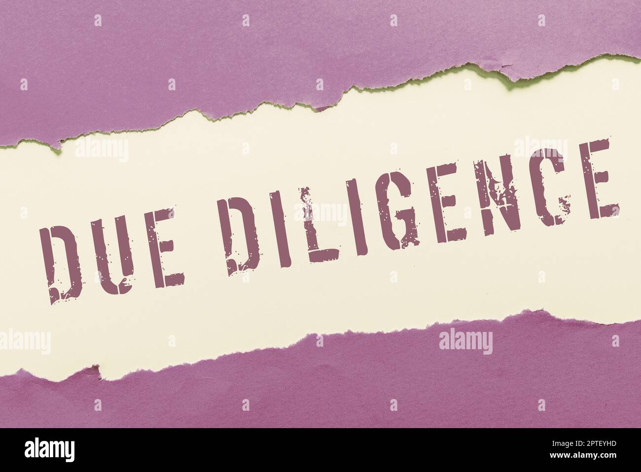Conceptual caption Due Diligence, Business overview Comprehensive ... Conceptual caption Due Diligence, Business overview Comprehensive ...
