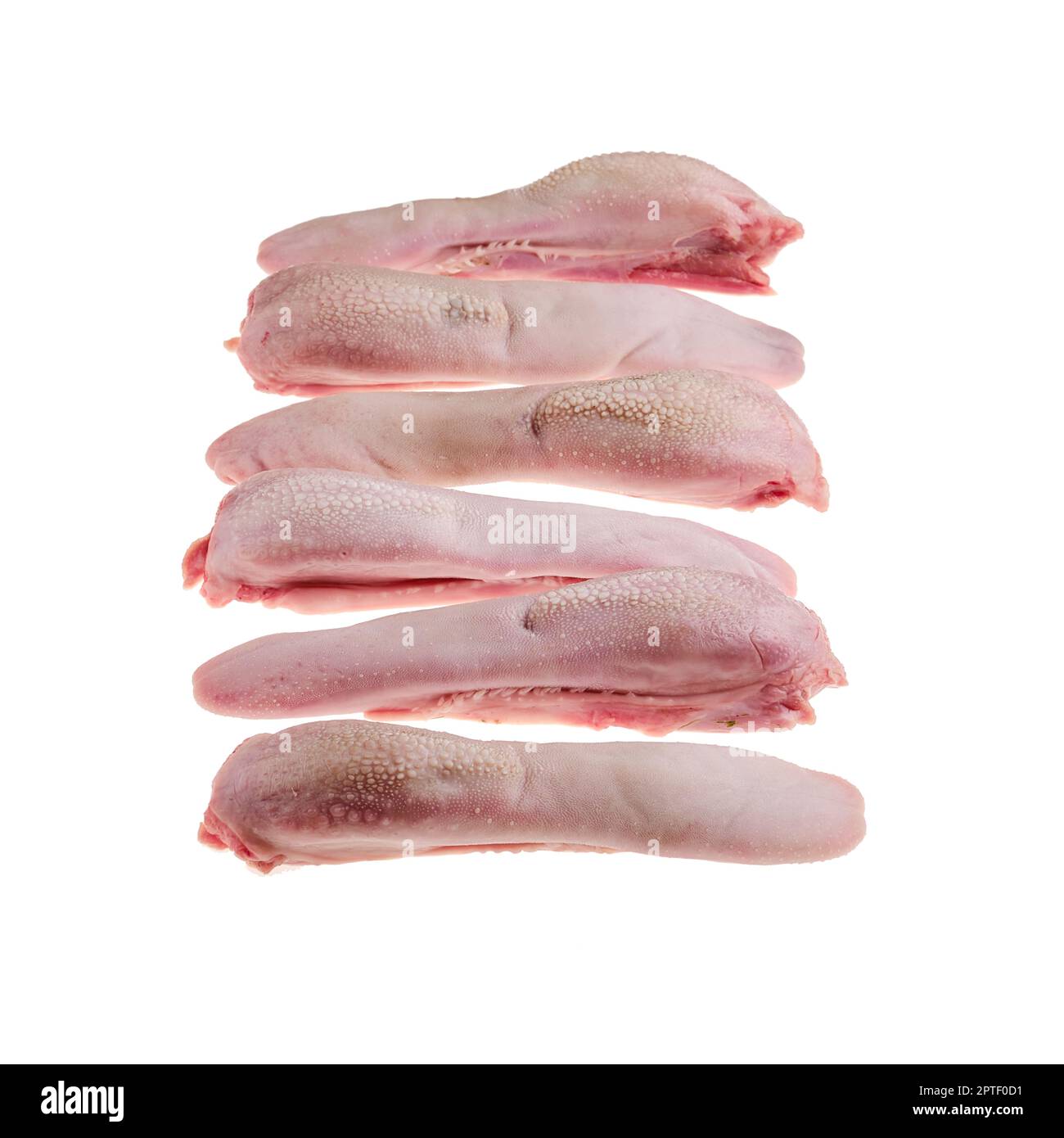 Fresh raw lamb tongue isolated on white background Stock Photo - Alamy