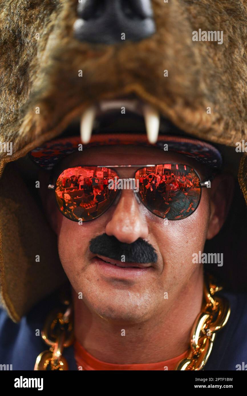 Union bears hi-res stock photography and images - Alamy