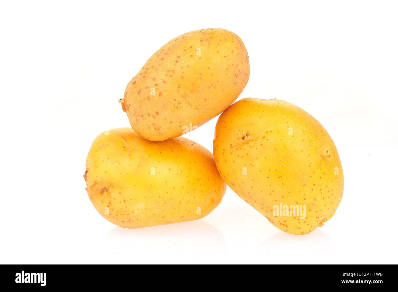 Globular root hi-res stock photography and images - Alamy