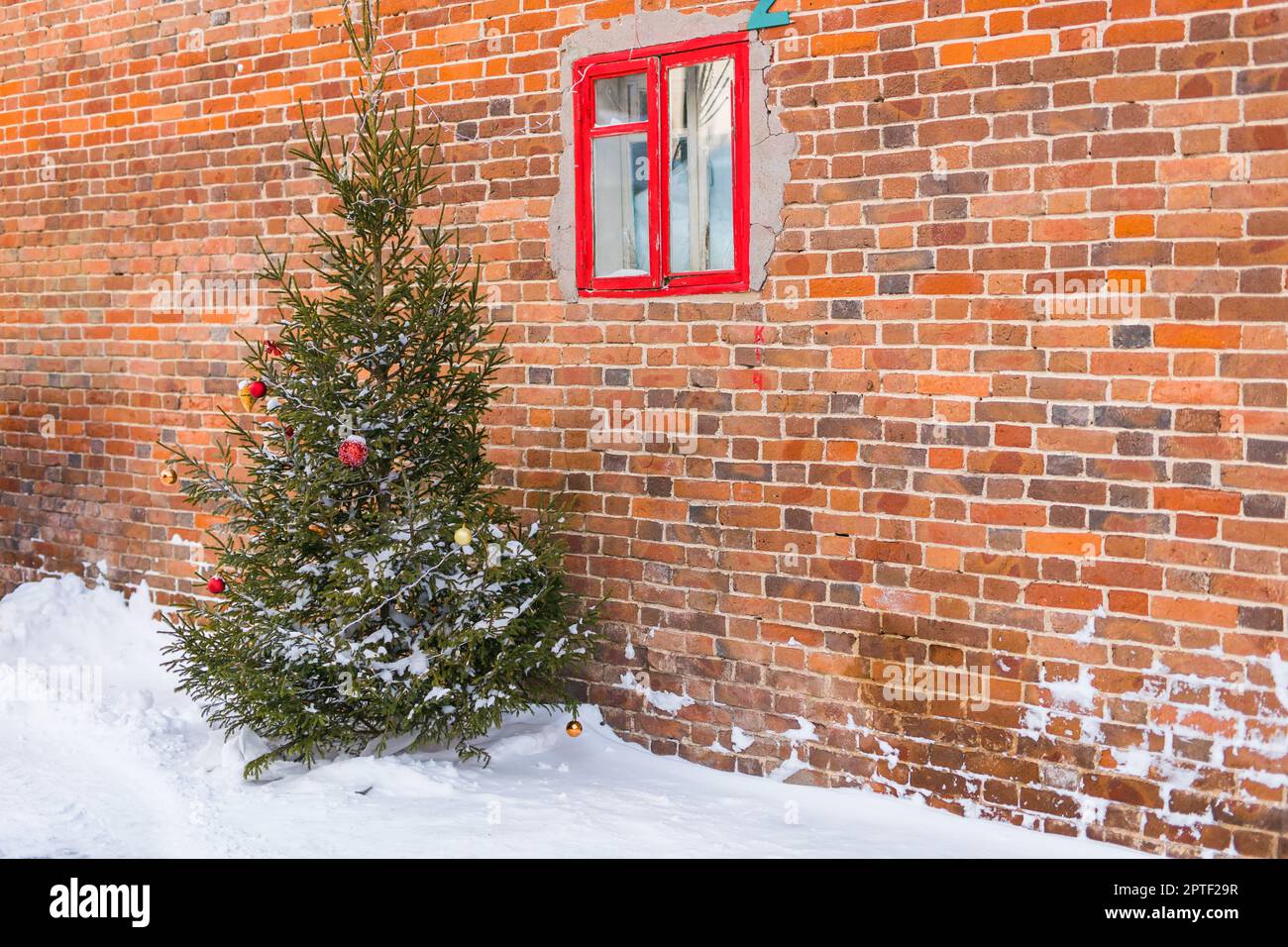 Christmas tree decorated with lights and New Year's garlands outside ...