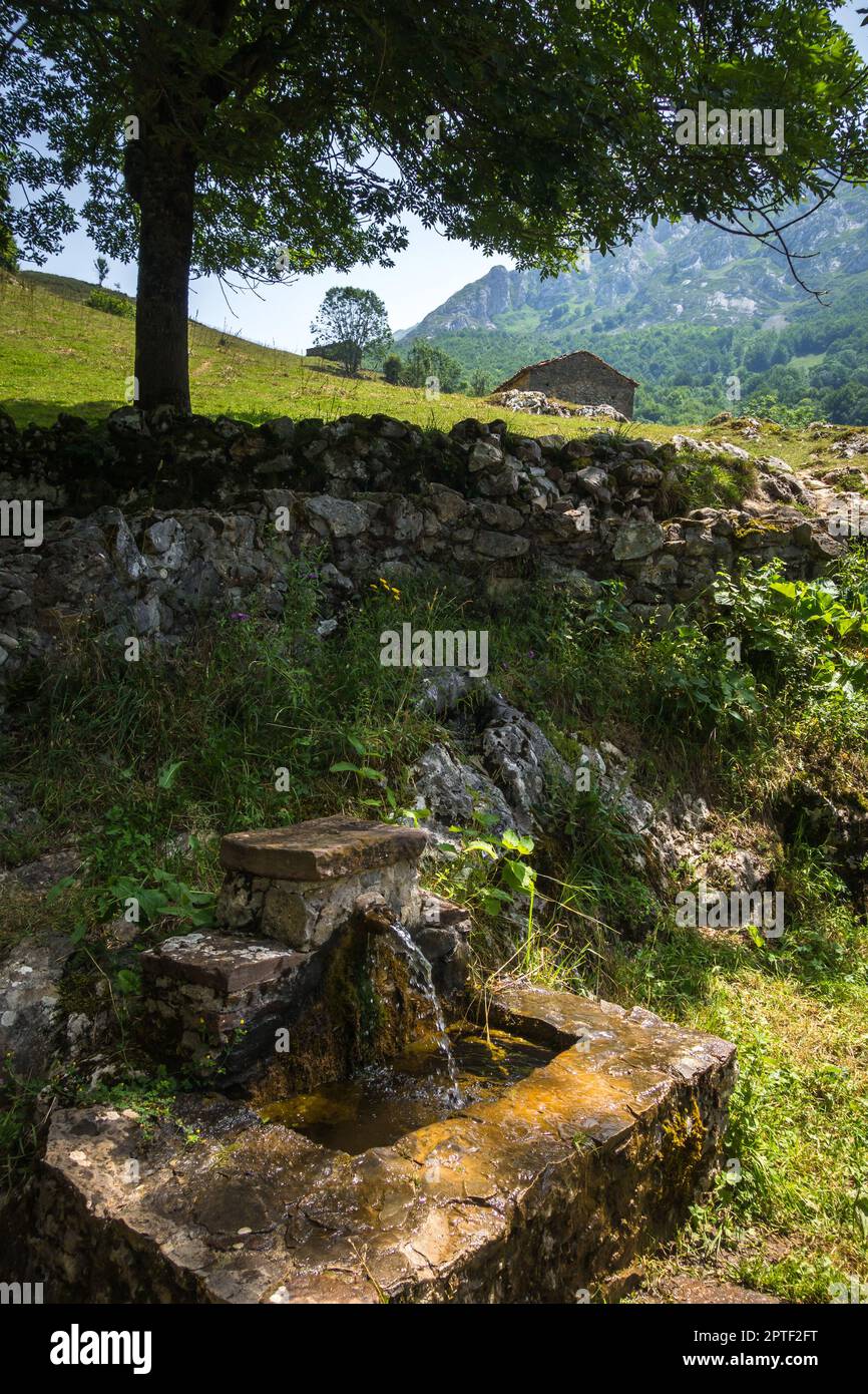 Fresh spring fountain in Picos de Europa, Asturias, Spain Stock Photo ...