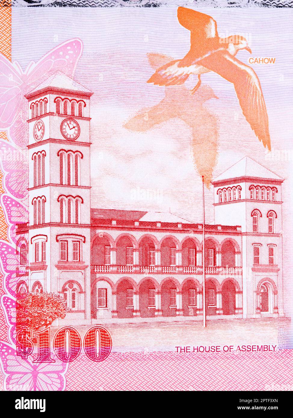 House of Assembly of Bermuda and Bermuda petrel from Bermudian money ...