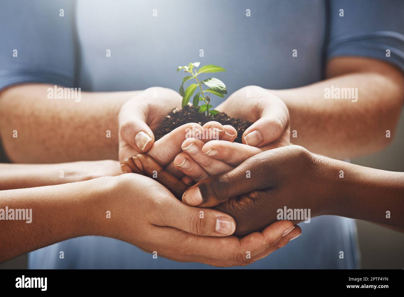 Conserving the environment hi-res stock photography and images - Alamy
