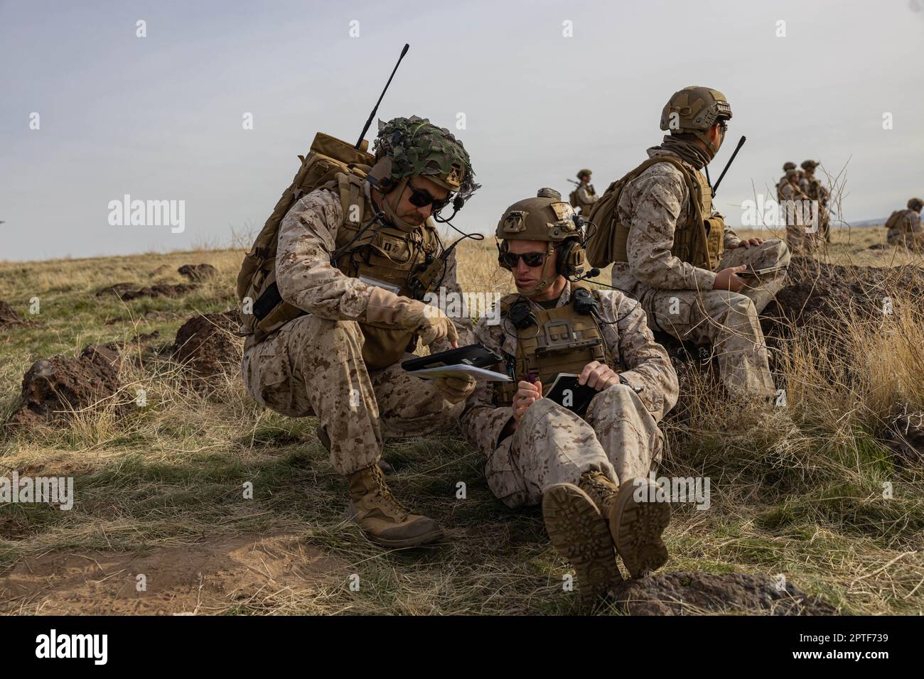 Garnet rattler 1 1 hi-res stock photography and images - Alamy