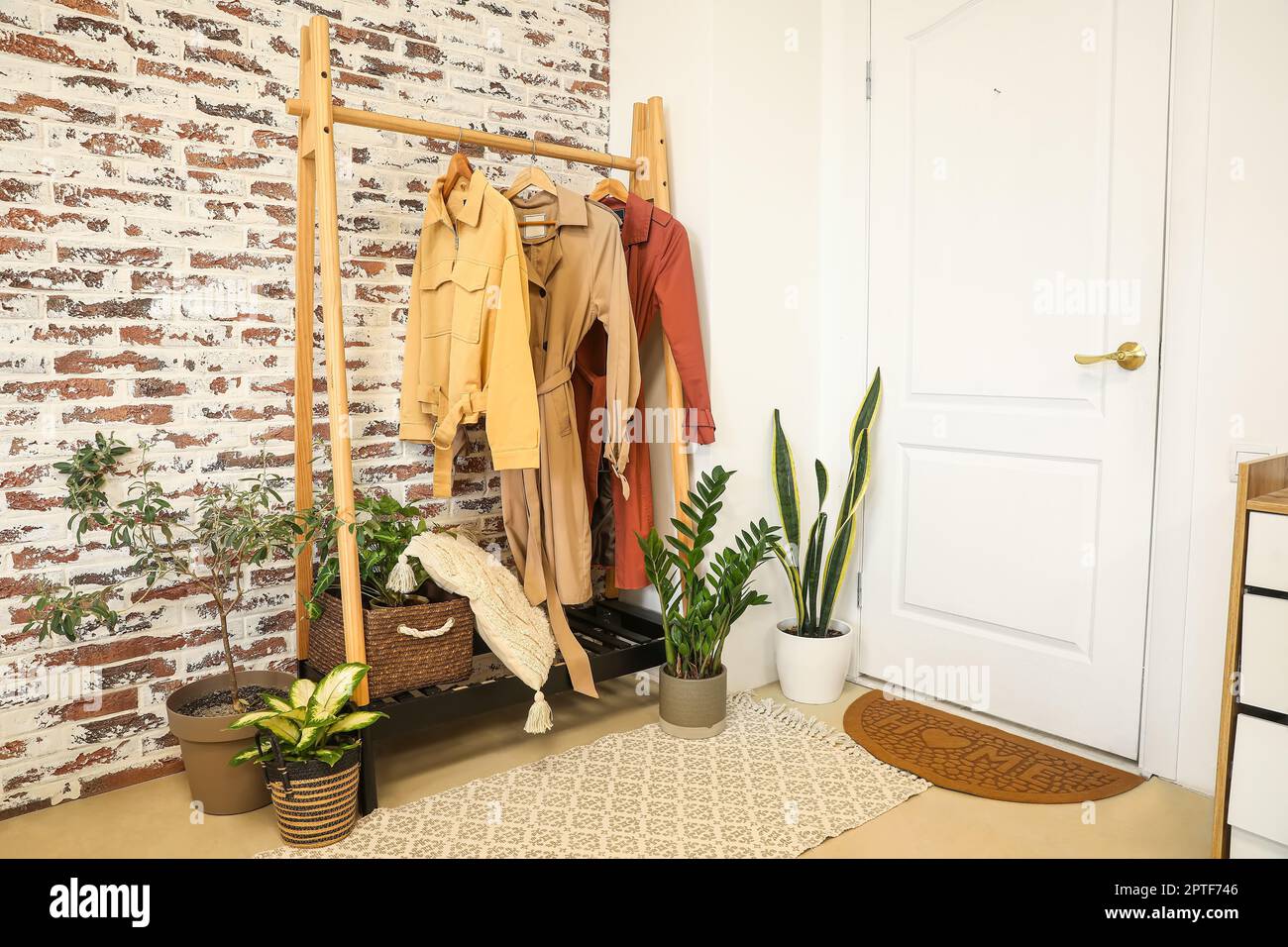 Interior of hall with rack, clothes and houseplants Stock Photo - Alamy