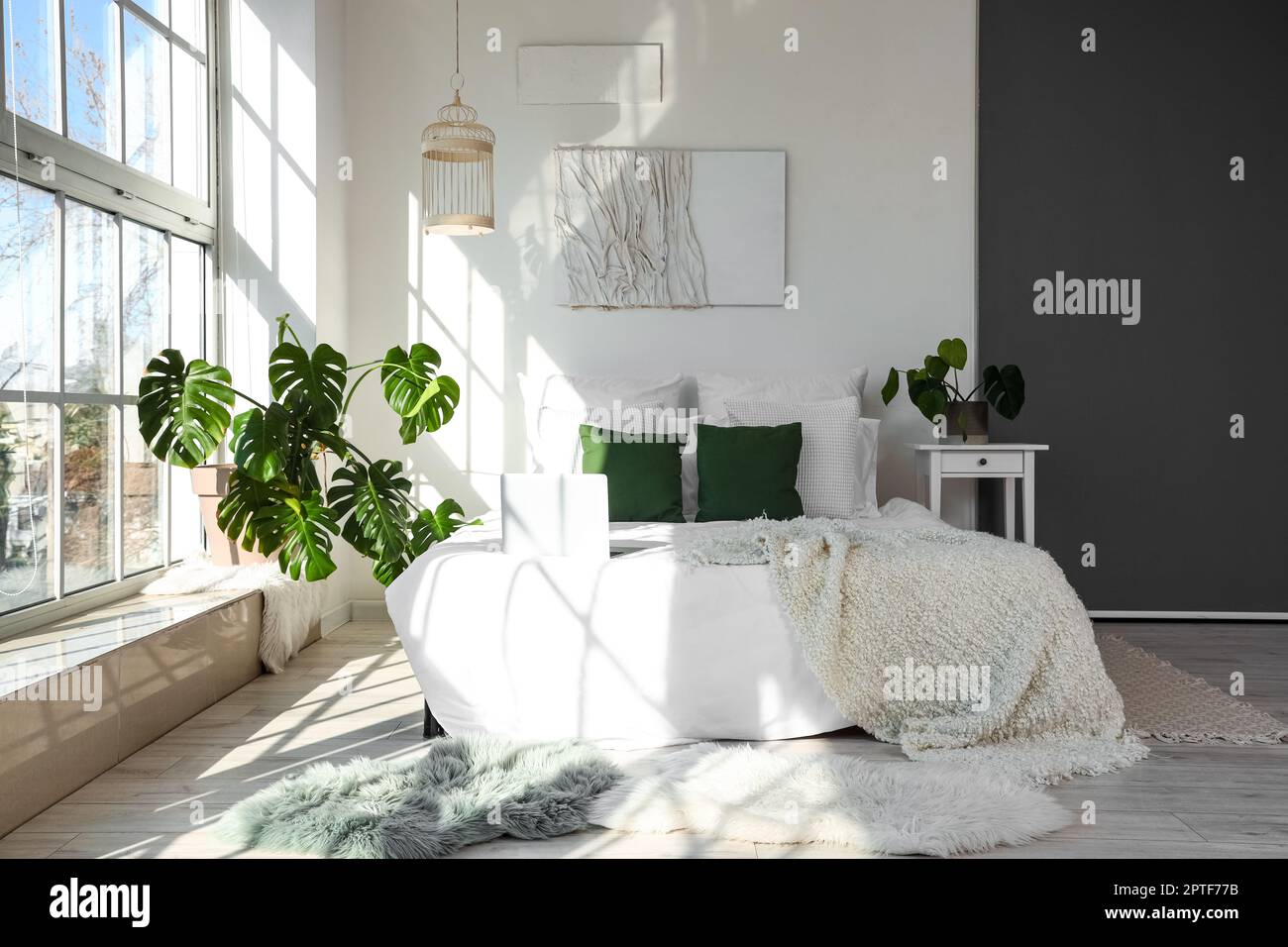 Interior of light bedroom with Monstera houseplant and bed Stock Photo ...
