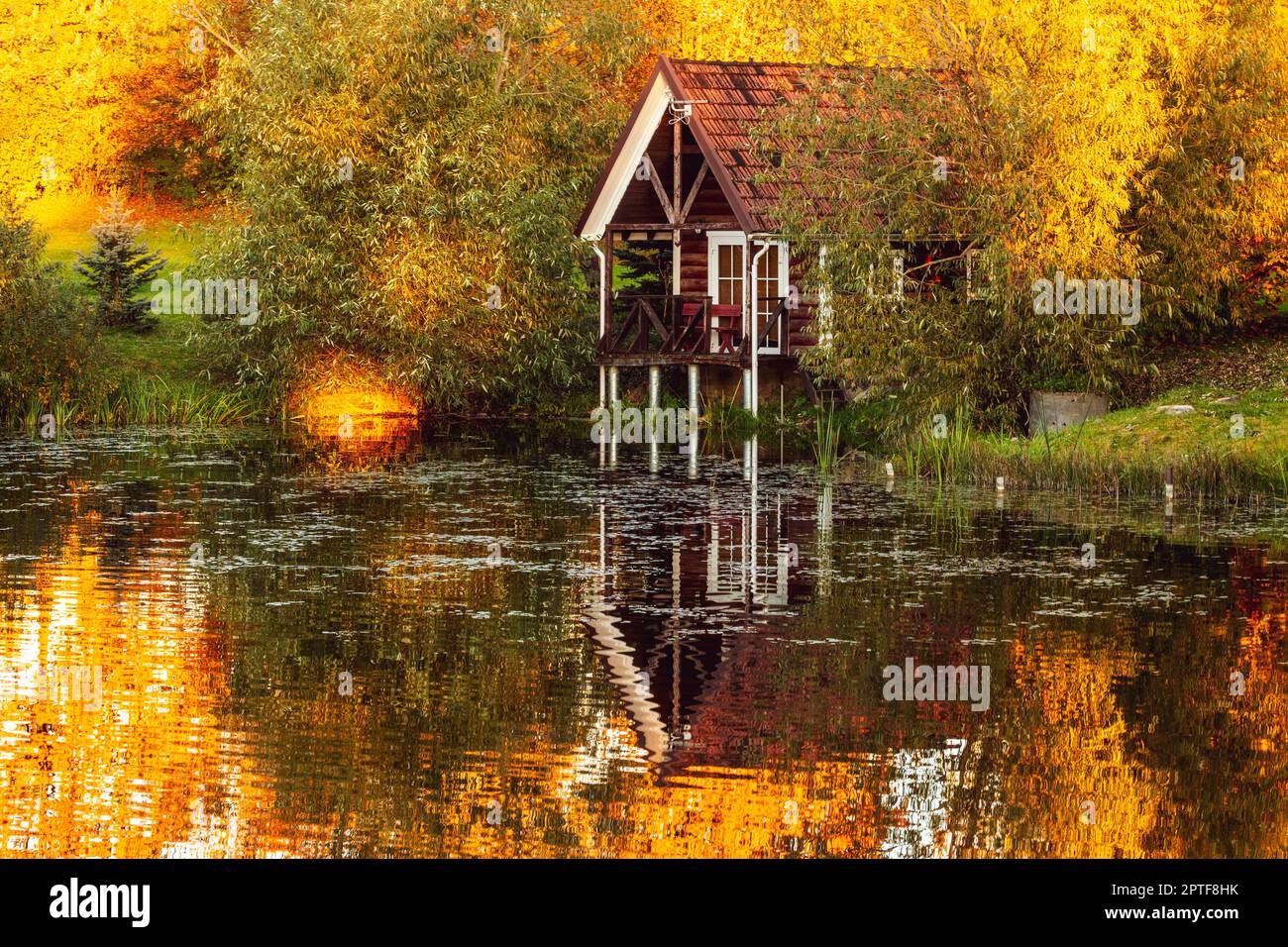 Red holiday cabin with reflection in the pond during sunset. Wooden cottage, sauna on shore ...