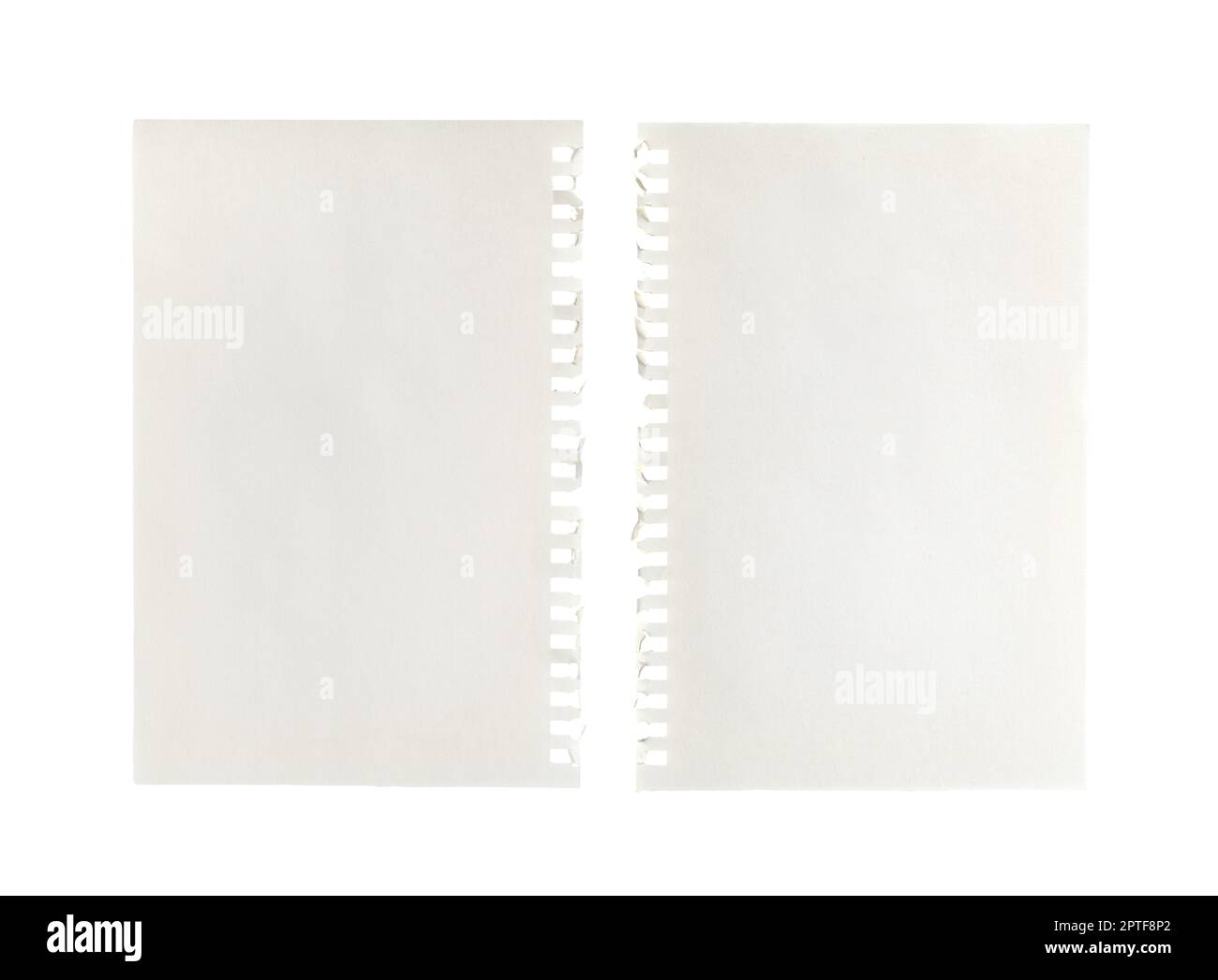 two blank sheets of paper with side perforation on a transparent ...