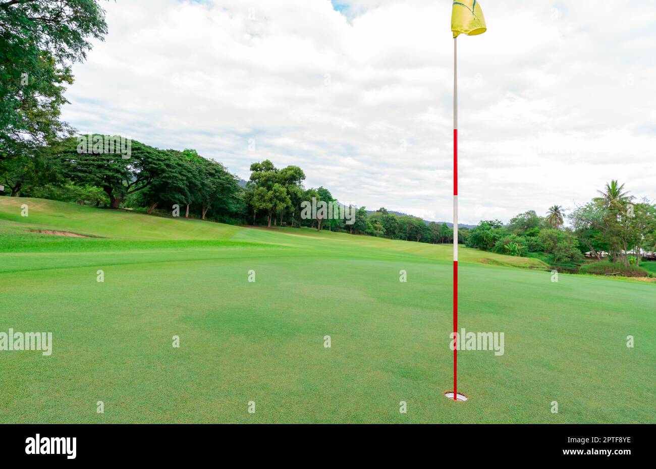 Golf course with green turf landscape. Green grass field with yellow ...