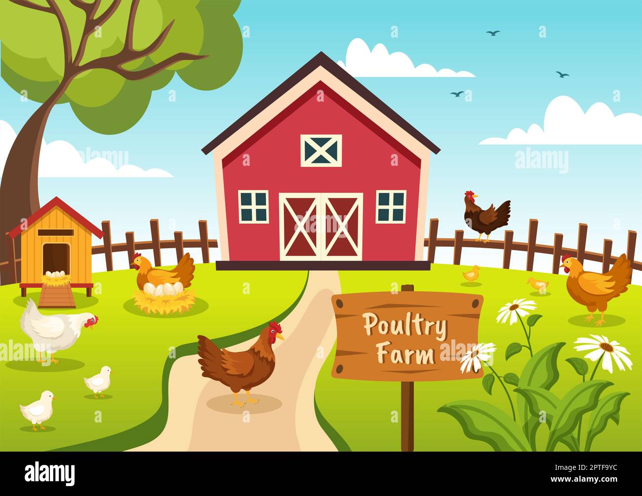 Poultry Farming with Farmer, Cage, Chicken and Egg Farm on Green Field ...