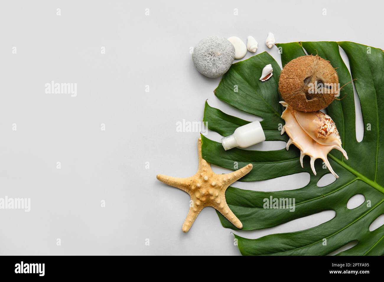 Coconut with straw, seashells, starfish, sunscreen and monstera leaf on ...