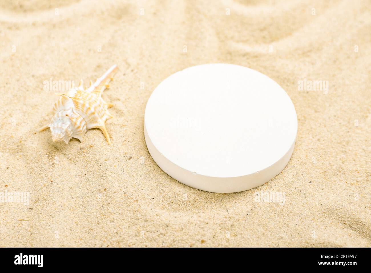 Decorative plaster podium and seashell in sand Stock Photo - Alamy