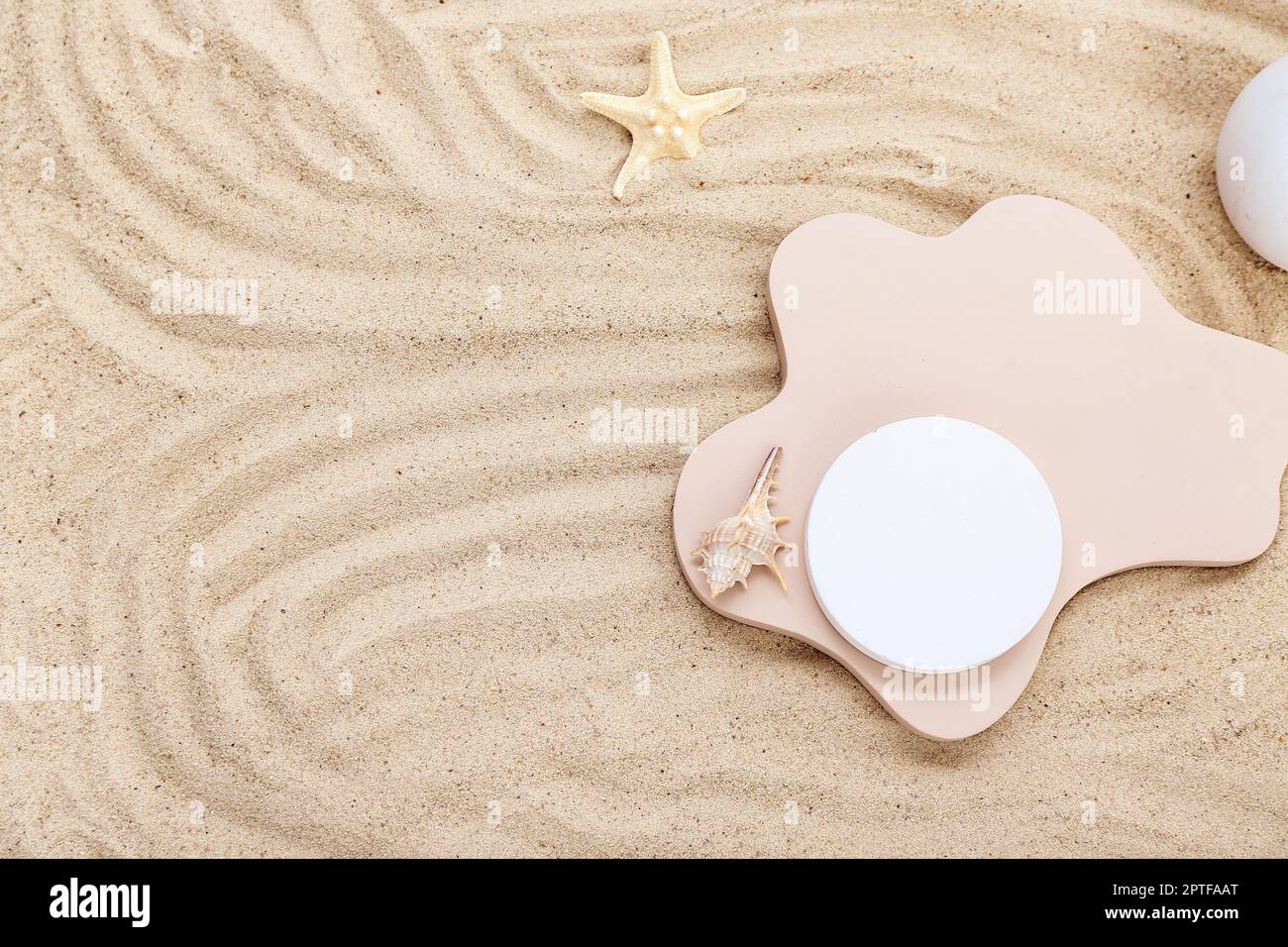 Decorative plaster podiums, starfish and seashell in sand Stock Photo ...