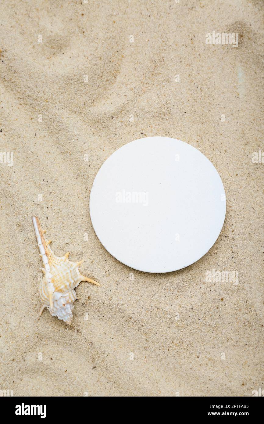 Decorative plaster podium and seashell in sand Stock Photo - Alamy