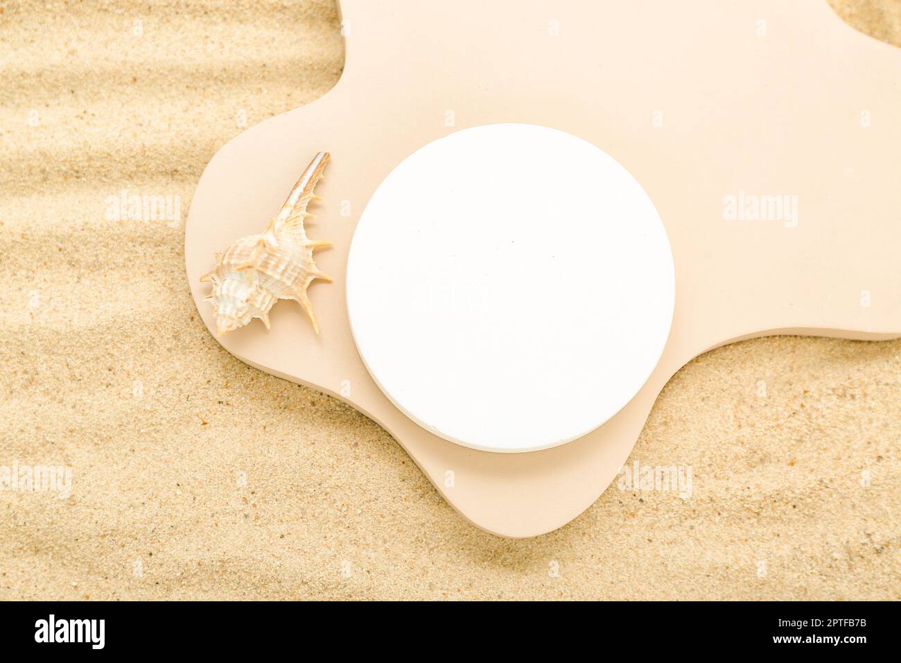 Decorative plaster podiums and seashell in sand Stock Photo - Alamy