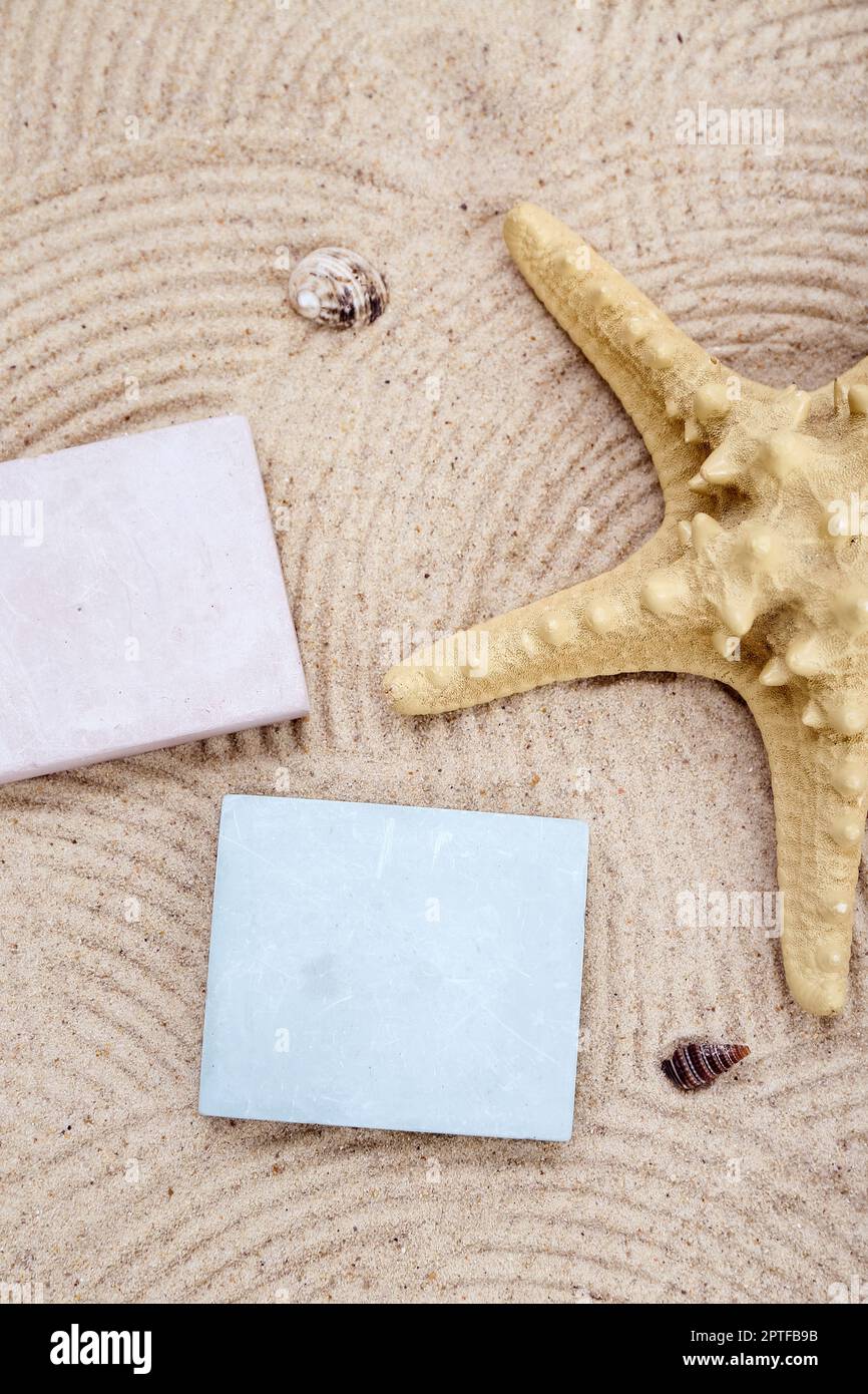 Decorative plaster podiums, starfish and seashells in sand Stock Photo ...