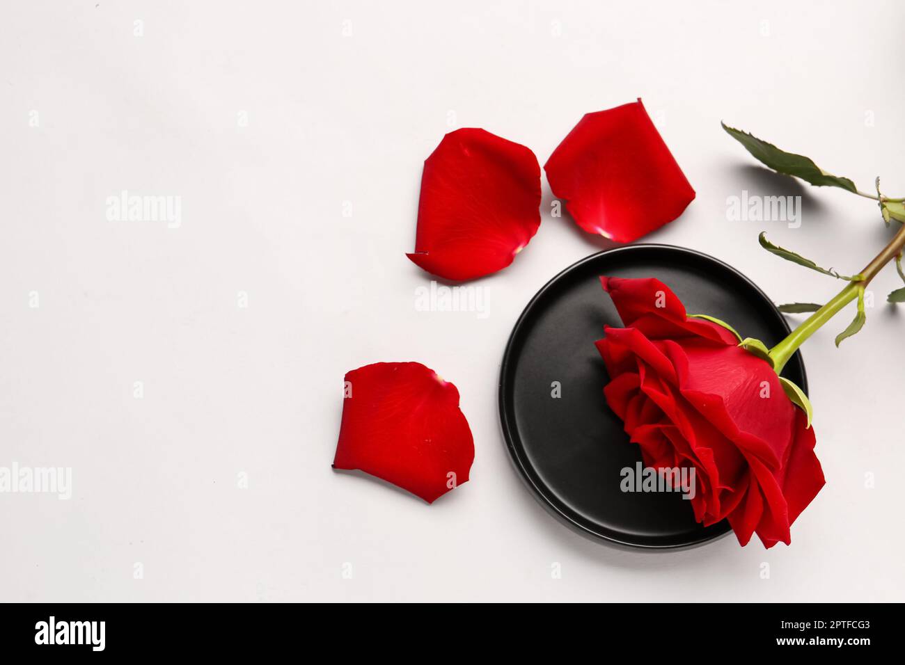 Tray with beautiful red rose and petals on white background Stock Photo ...