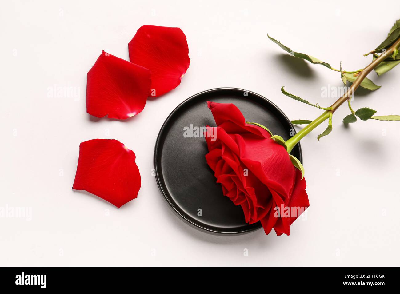 Tray with beautiful red rose and petals on white background Stock Photo ...