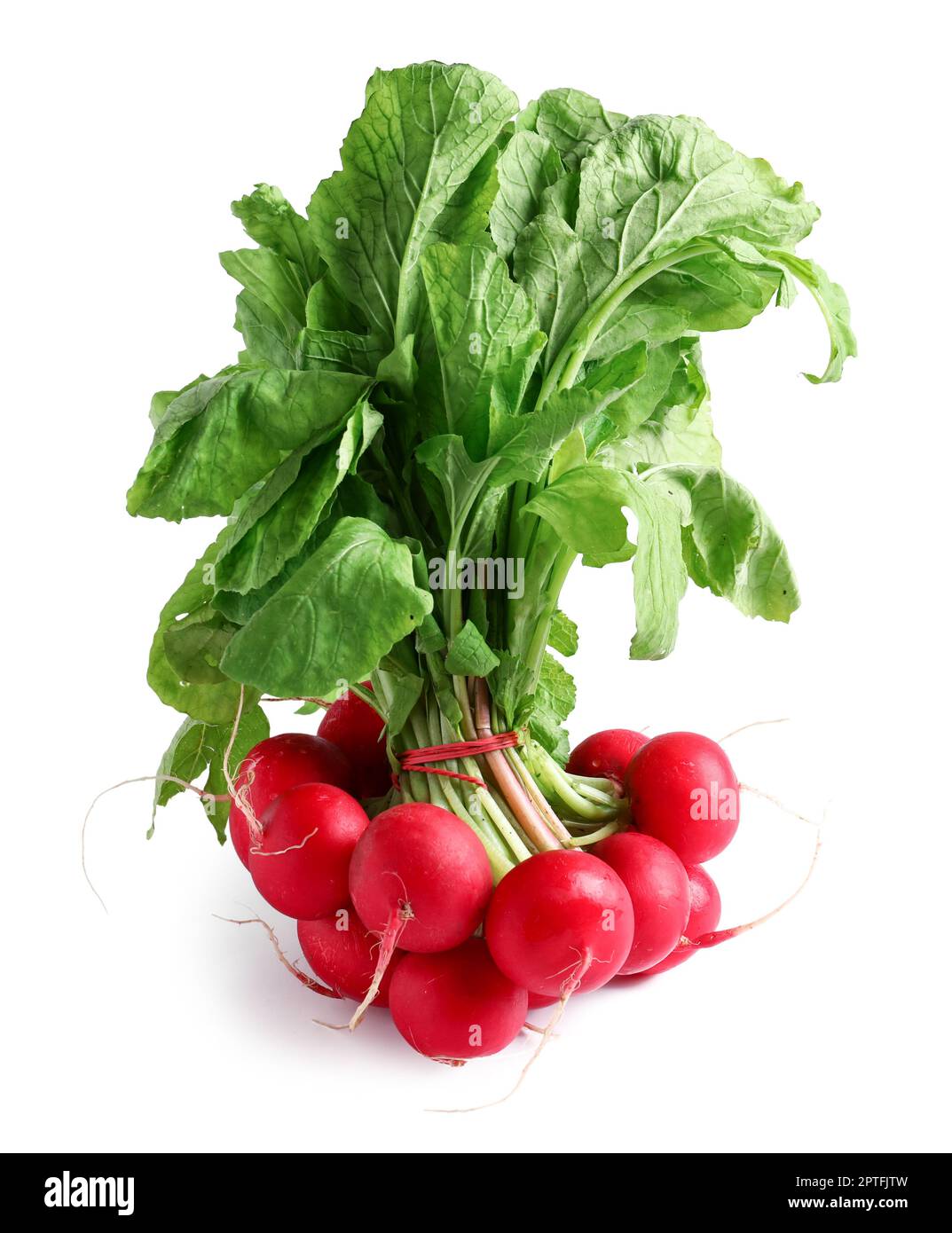 Fresh radishes with leaves on white background Stock Photo - Alamy