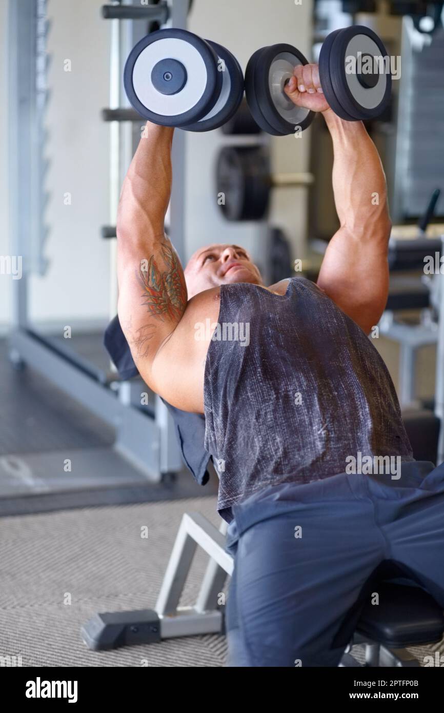 Hitting the gym. a male bodybuilder lifting weights at the gym Stock ...