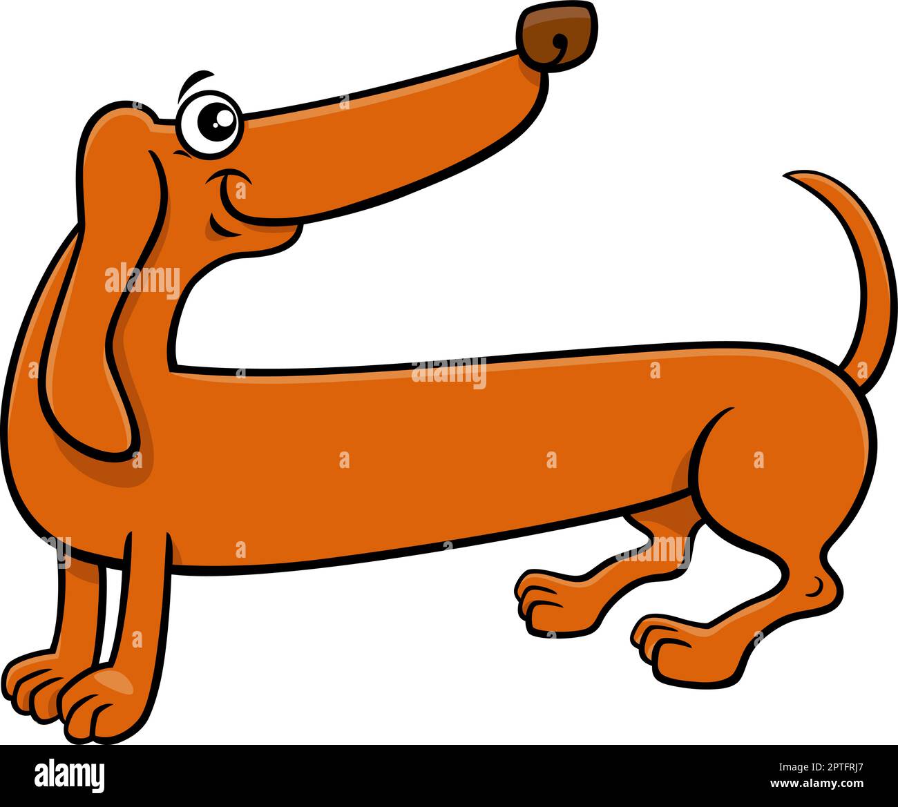 cartoon purebred dachshund dog comic animal character Stock Vector ...