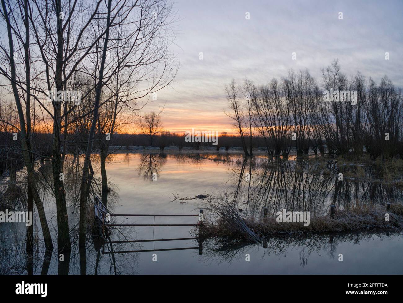 Flooded floodplain from the river Boven-Merwede in the nature reserve ...