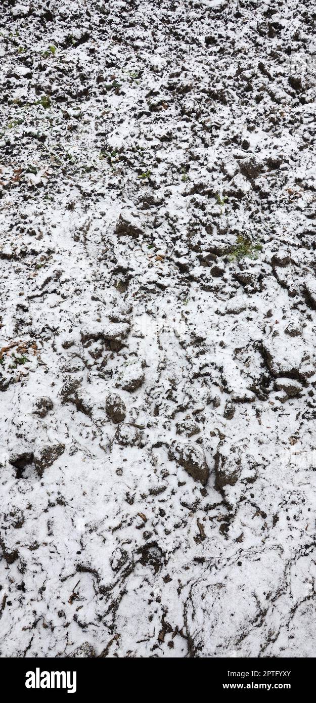 The texture of the ground, covered with a thin layer of snow. The soil ...