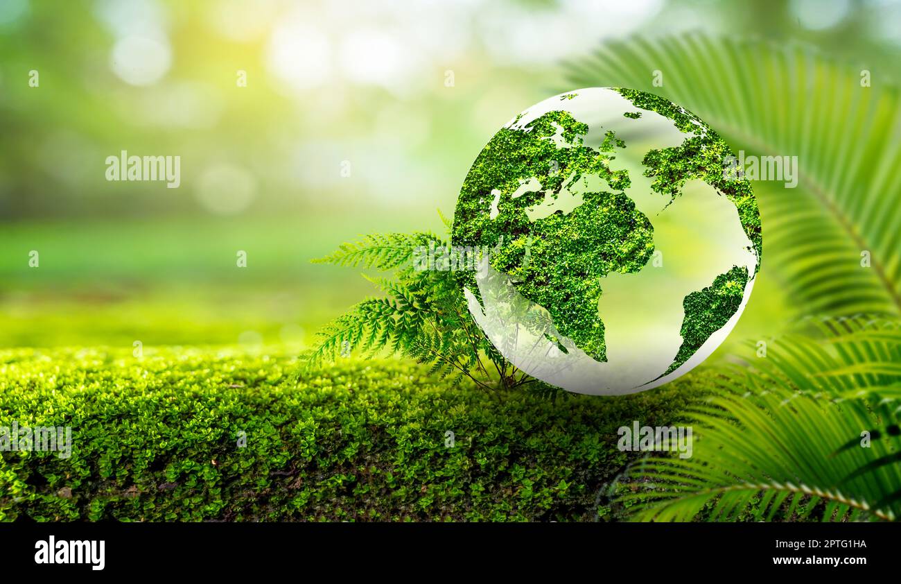 Concept Save the world save environment The world is in the grass of the green bokeh background ...