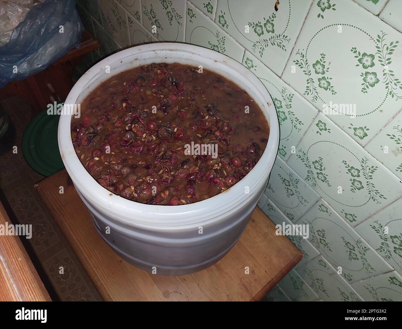 Production of grape pulp for making homemade wine a the must Stock ...