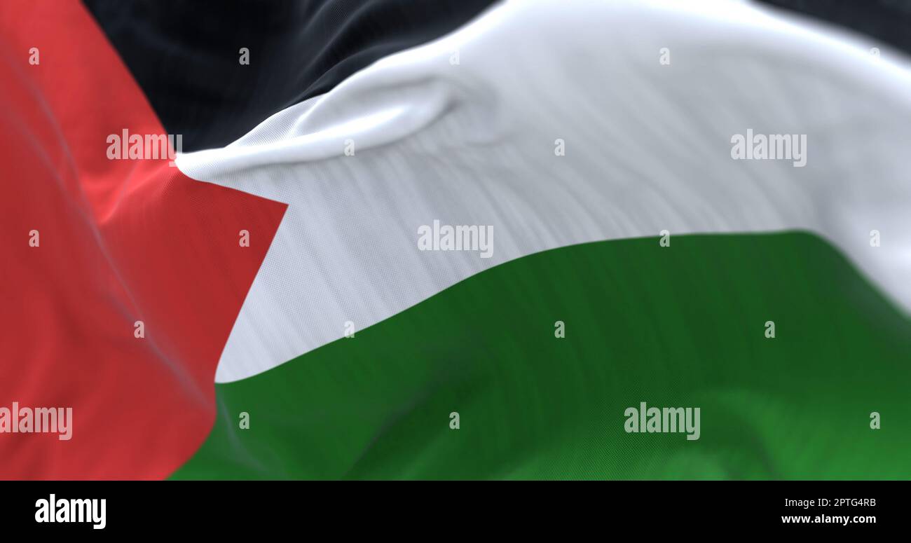 Close-up view of the Palestine national flag waving. The State of ...