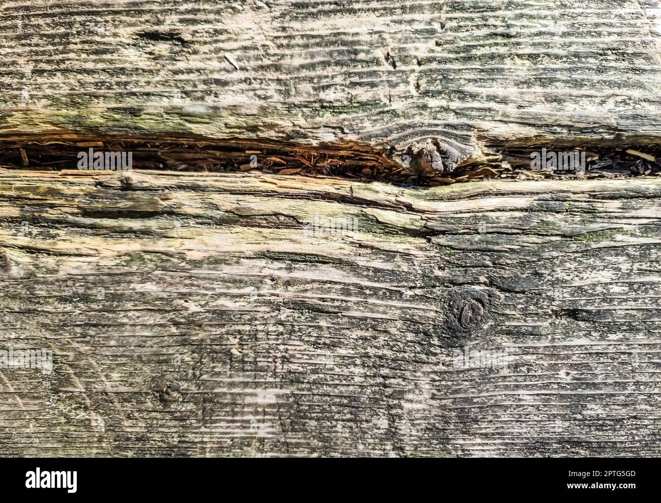 Detailed close up view on different wood surfaces showing planks logs ...
