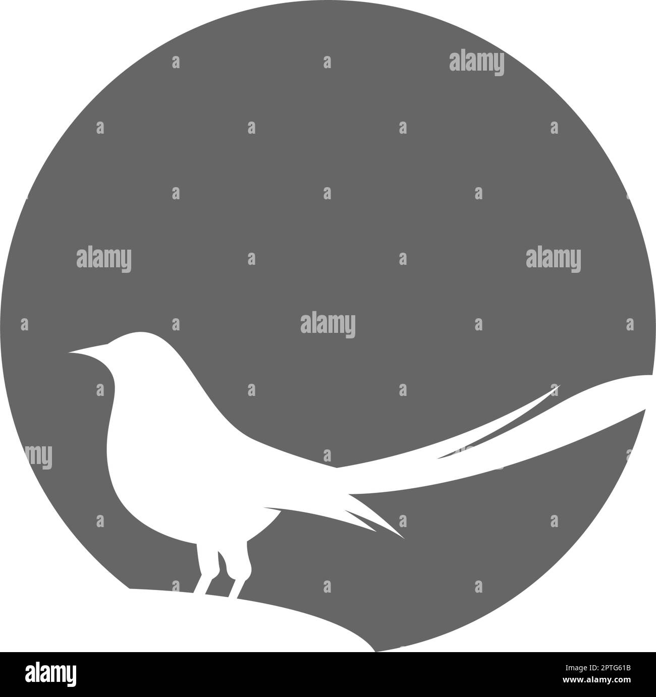 Magpie logo icon illustration design Stock Vector Image & Art - Alamy