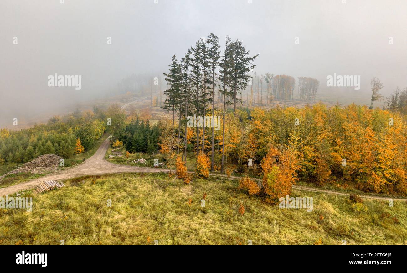 Aerial view of autumn sunrise countryside, traditional fall landscape ...