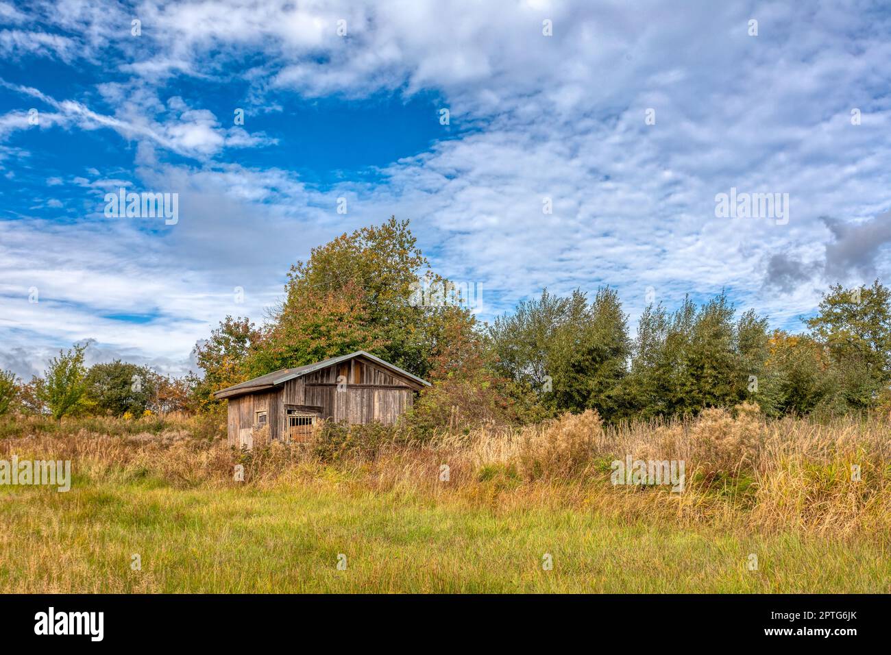 High seat hiding place hut hi-res stock photography and images - Alamy