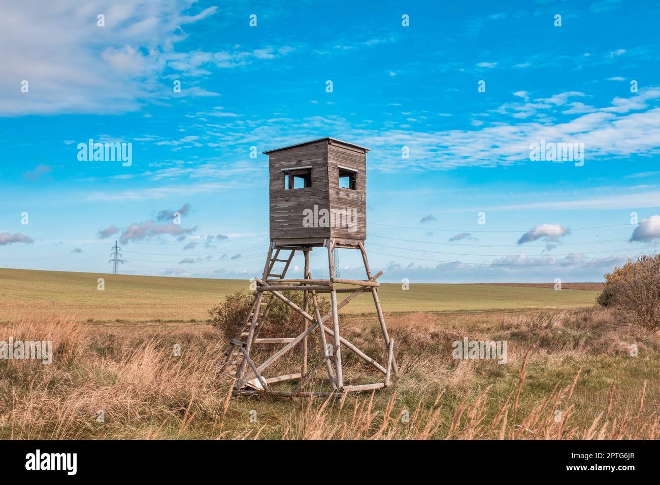 Sky tower hiding hi-res stock photography and images - Alamy