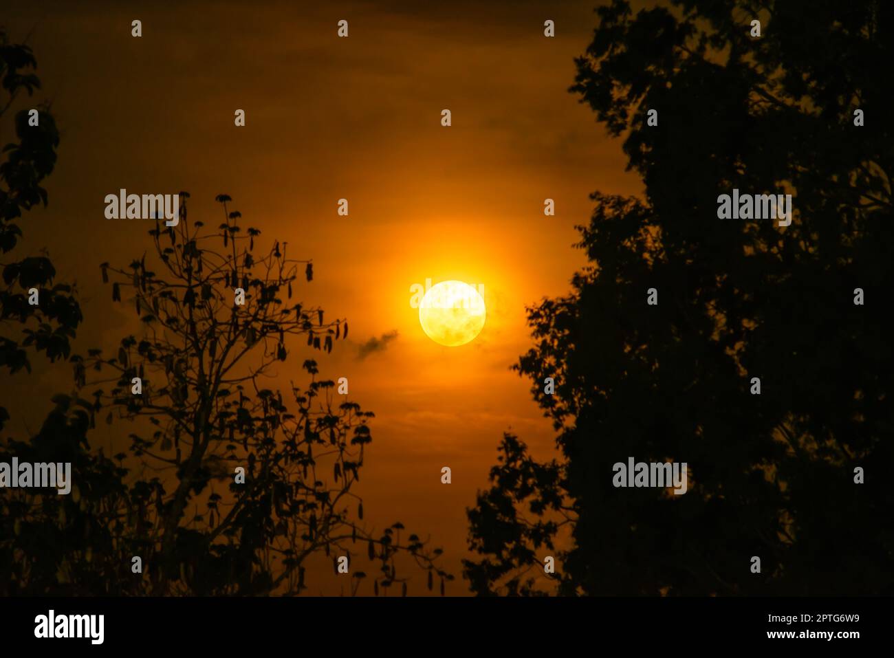 Moon with Night sky and cloud in full moon light Stock Photo - Alamy