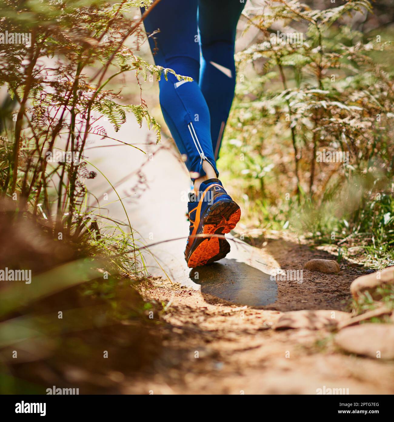 Hitting the trail. a mans legs as hes running along a nature trail ...