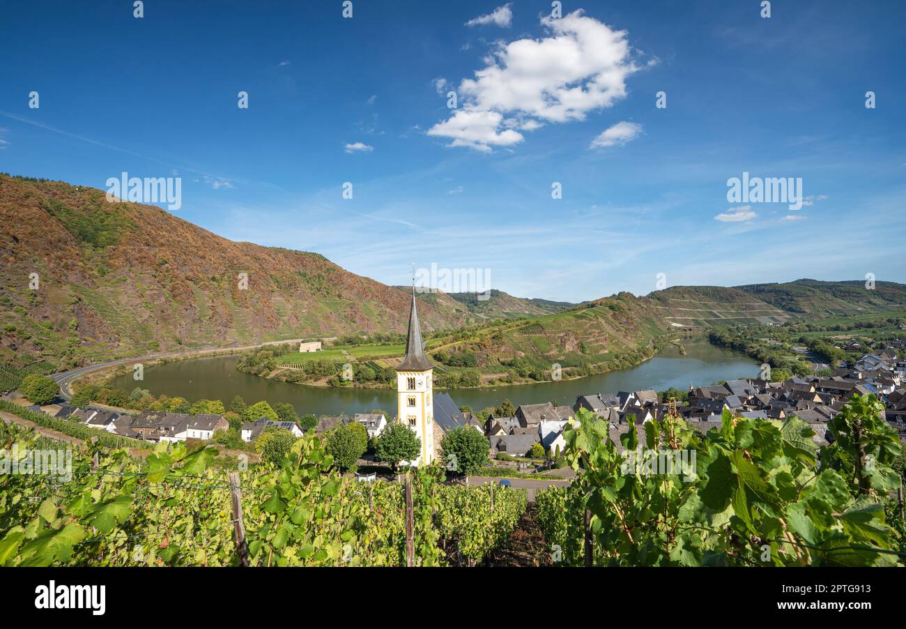 Panoramic image of Bremm with loop of Moselle river, Germany Stock ...