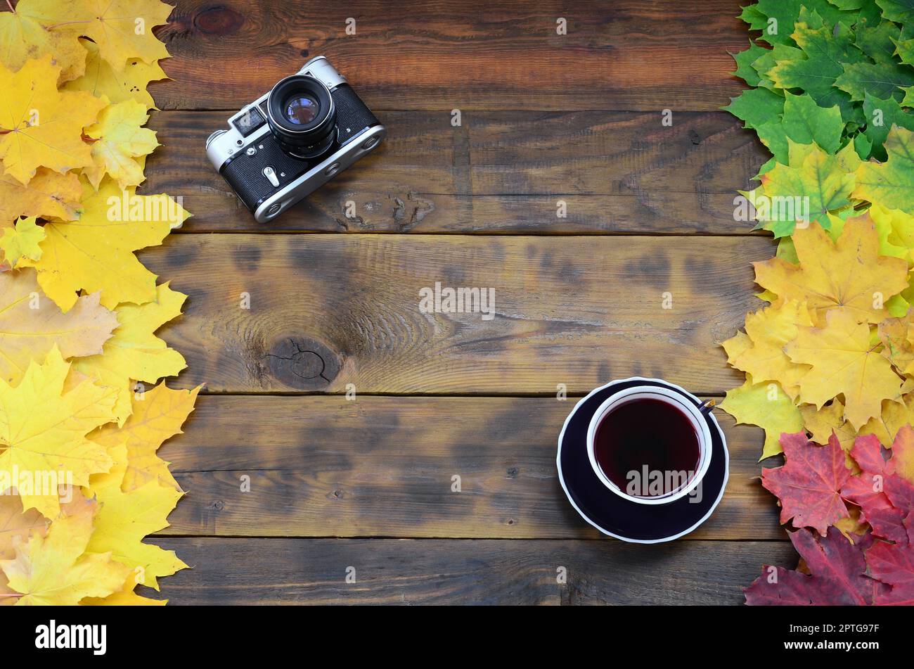 A cup of tea and an old camera among a set of yellowing fallen autumn ...